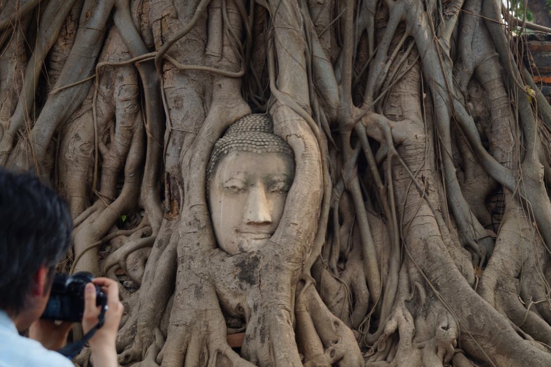 Ayutthaya – Wandering Tales Travel Dreams