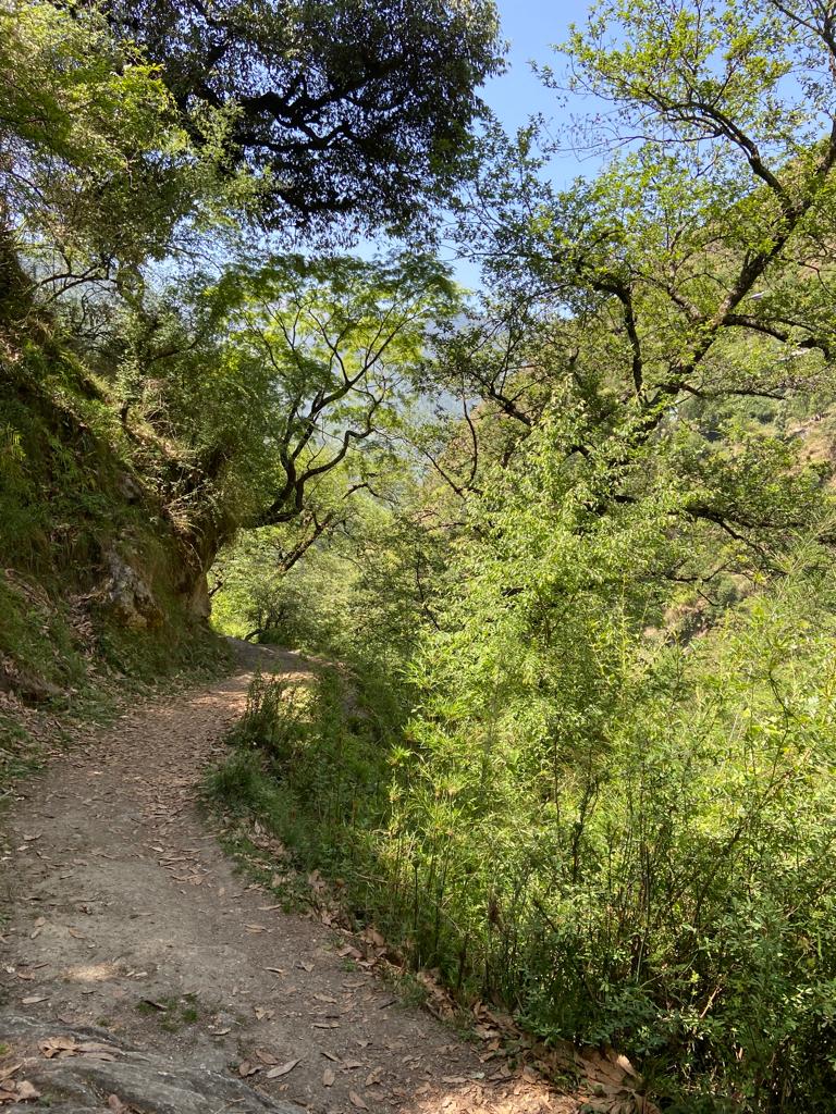 walking-path-to-ghnp-gate – Wandering Tales Travel Dreams